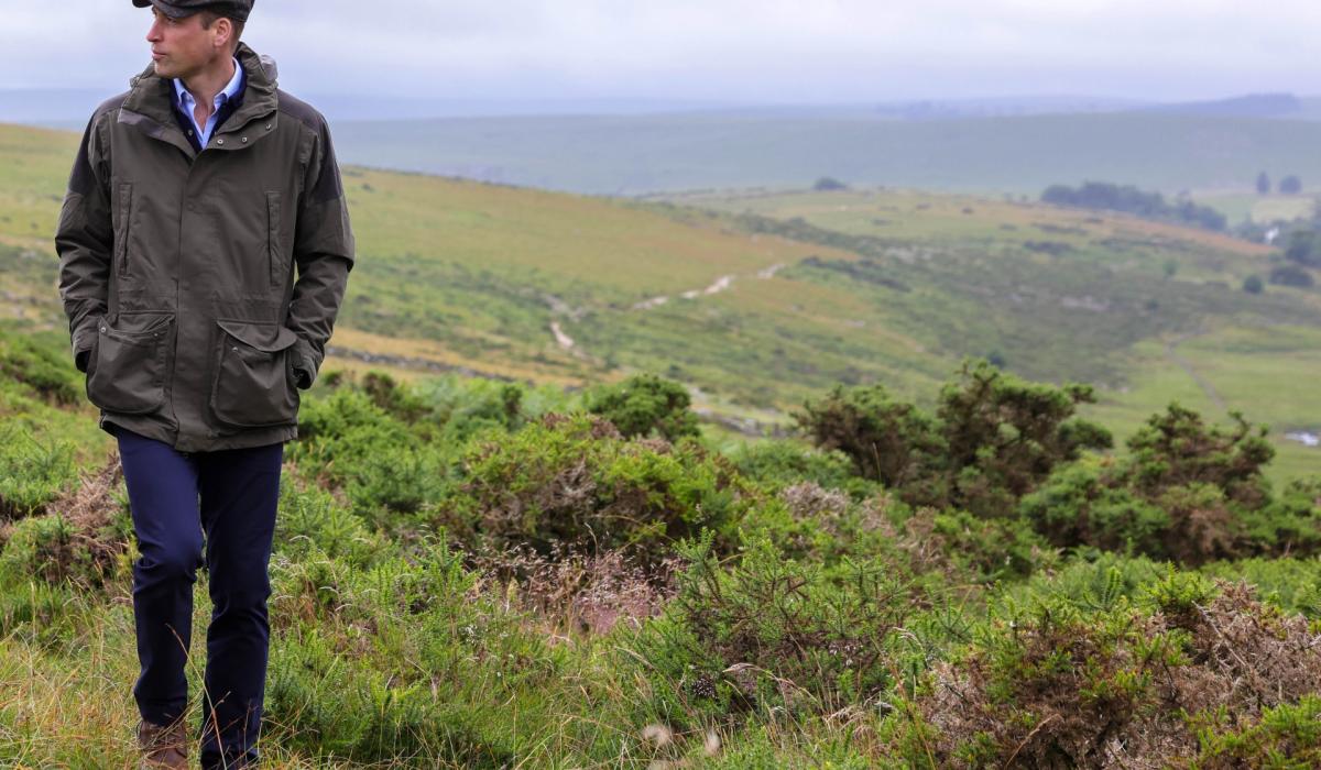 Bold nature recovery plan for Wistman’s Wood