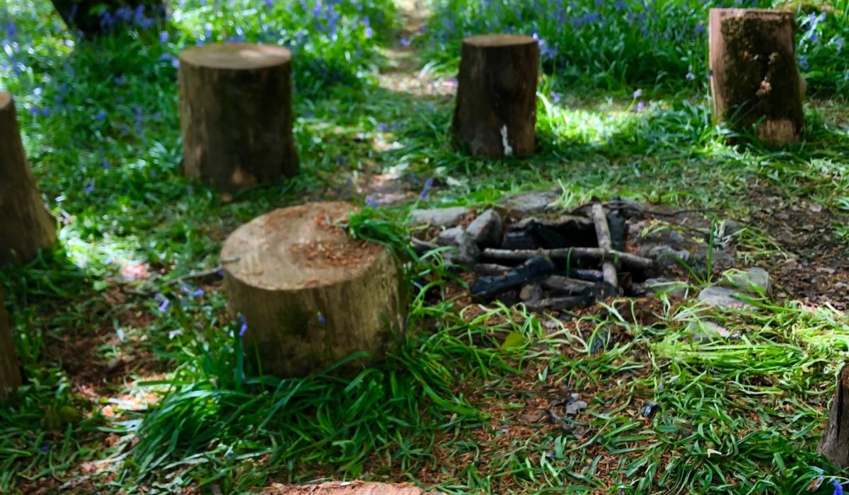 Local charity supports refugee recovery and reconnection in native ...