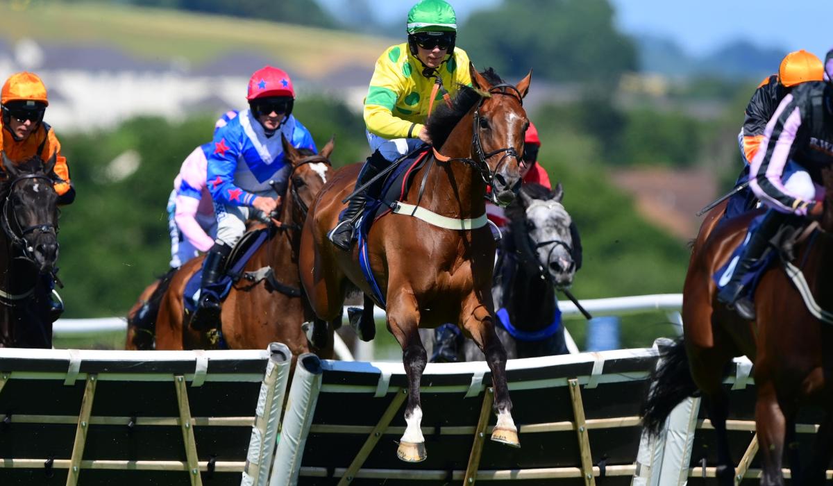 Investigation into tragic day at Newton races