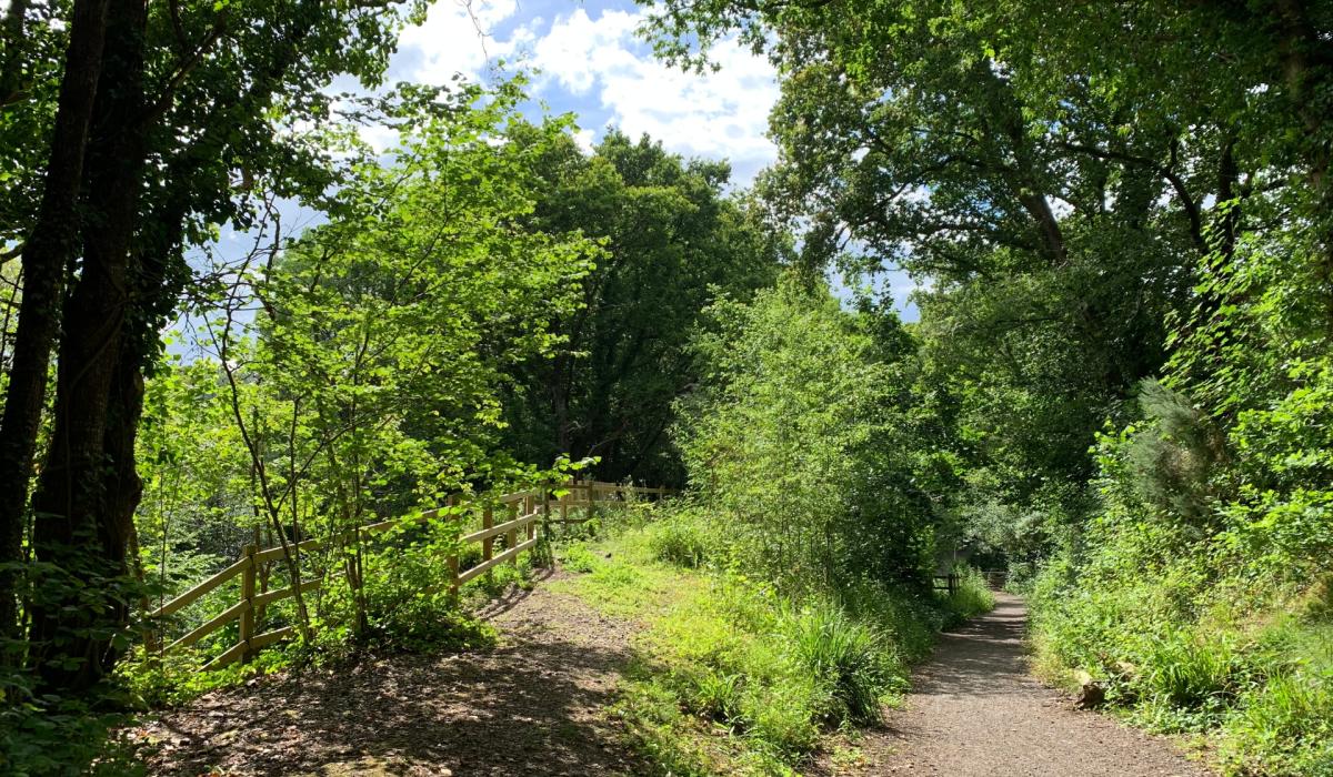 Moor Outdoors - The Wray Valley Trail from Bovey Tracey to Hawkmoor Halt