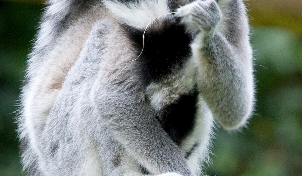 Shaldon Wildlife Trust aims to make the Zoo for everyone