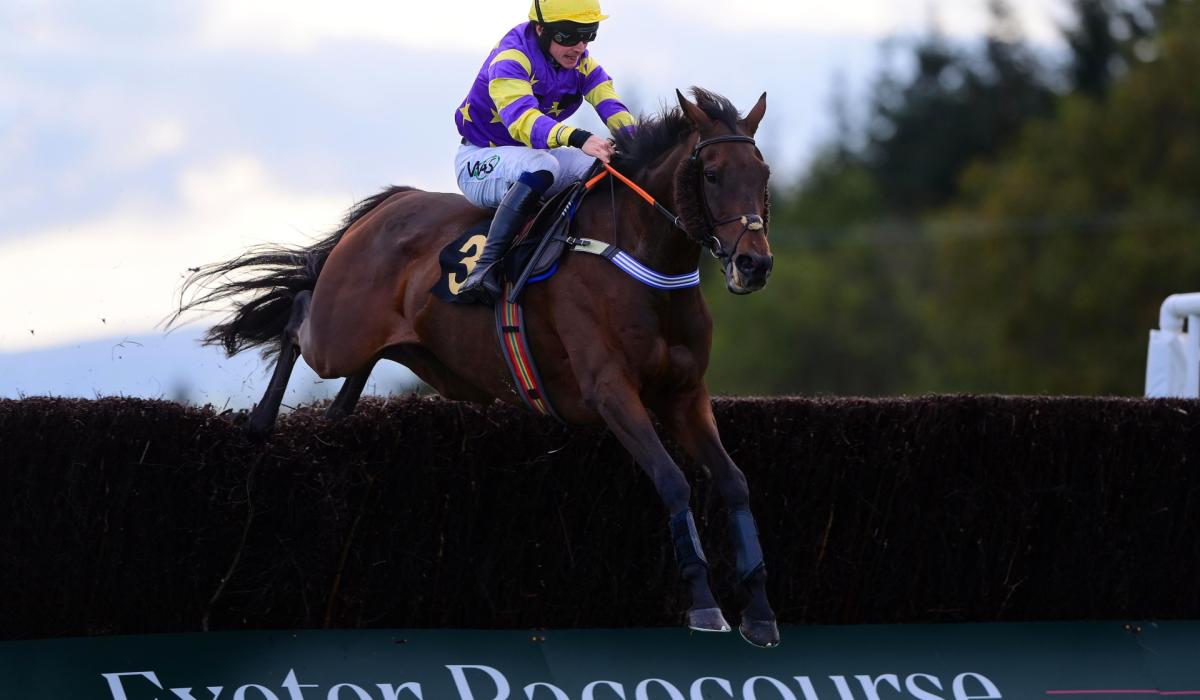 Exeter Racecourse: preview and tips for Best Mate Chase meeting at on ...