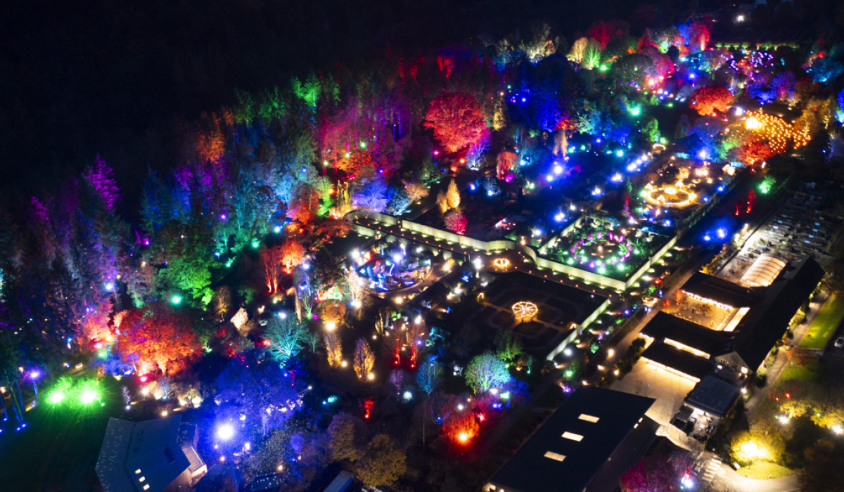 RHS Glow returns to Rosemoor Gardens with its longest illuminated trail yet