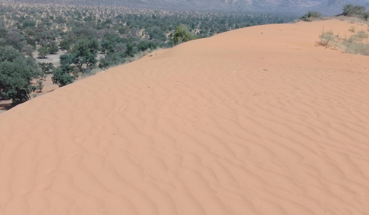 Joliba Trust helps make a big difference in Africa