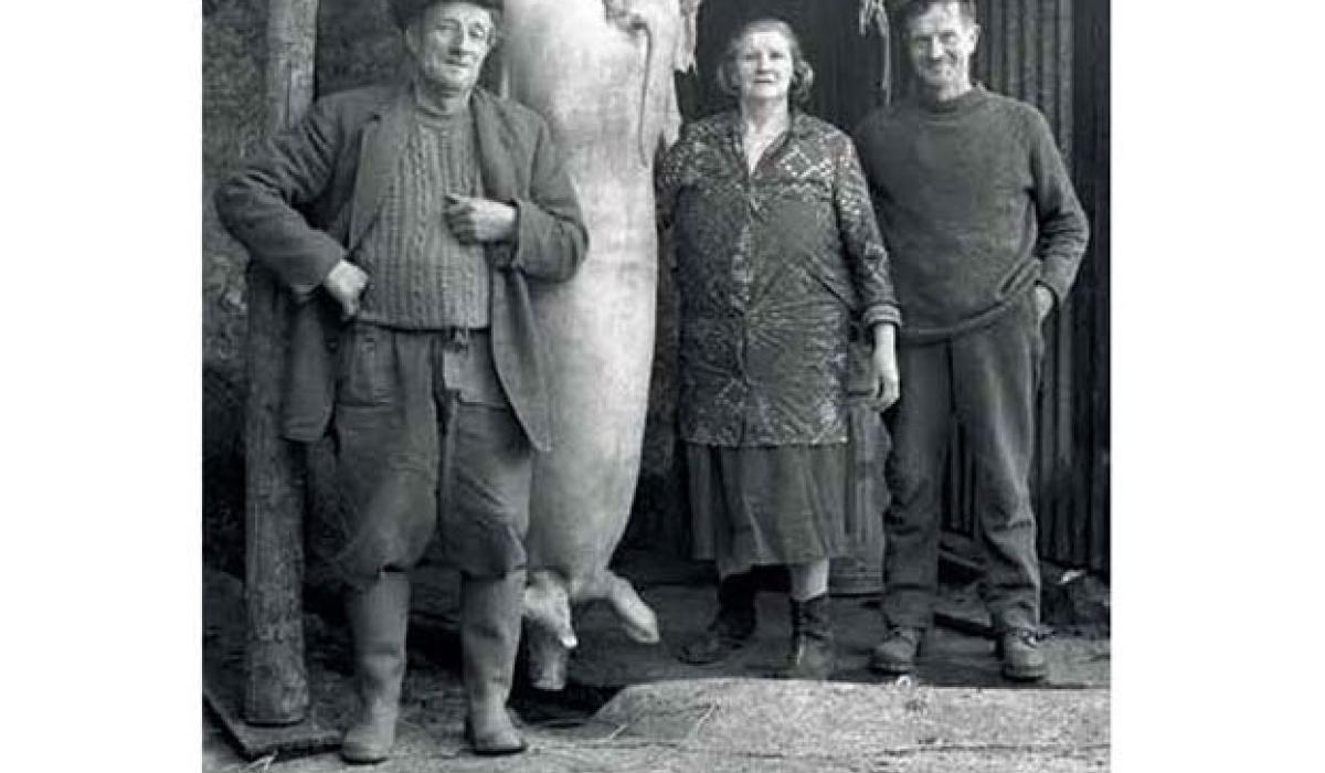 Hallowed Earth – The long-awaited new book by Dartmoor photographer ...