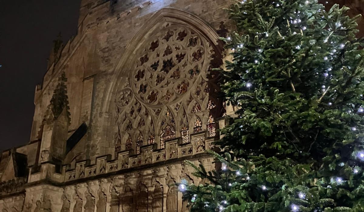 Exeter Philharmonic Choir’s ‘Carols in the Cathedral’ bring festive sparkle to winter nights