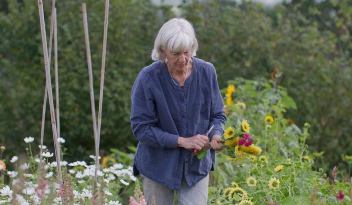 Free training courses for Devon residents looking to transform their ...