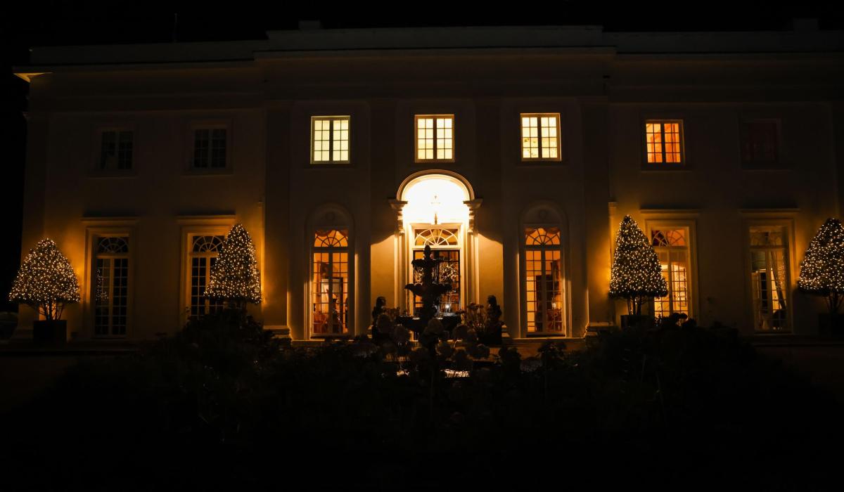 Christmas Party at Canonteign House raises more than £23,000 for St ...