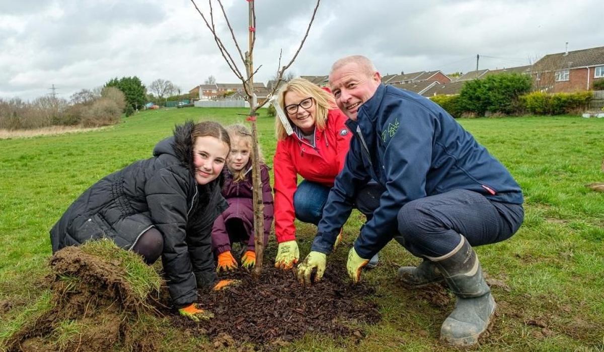 New £500,000 fund open to support ‘green’ community spaces on Dartmoor