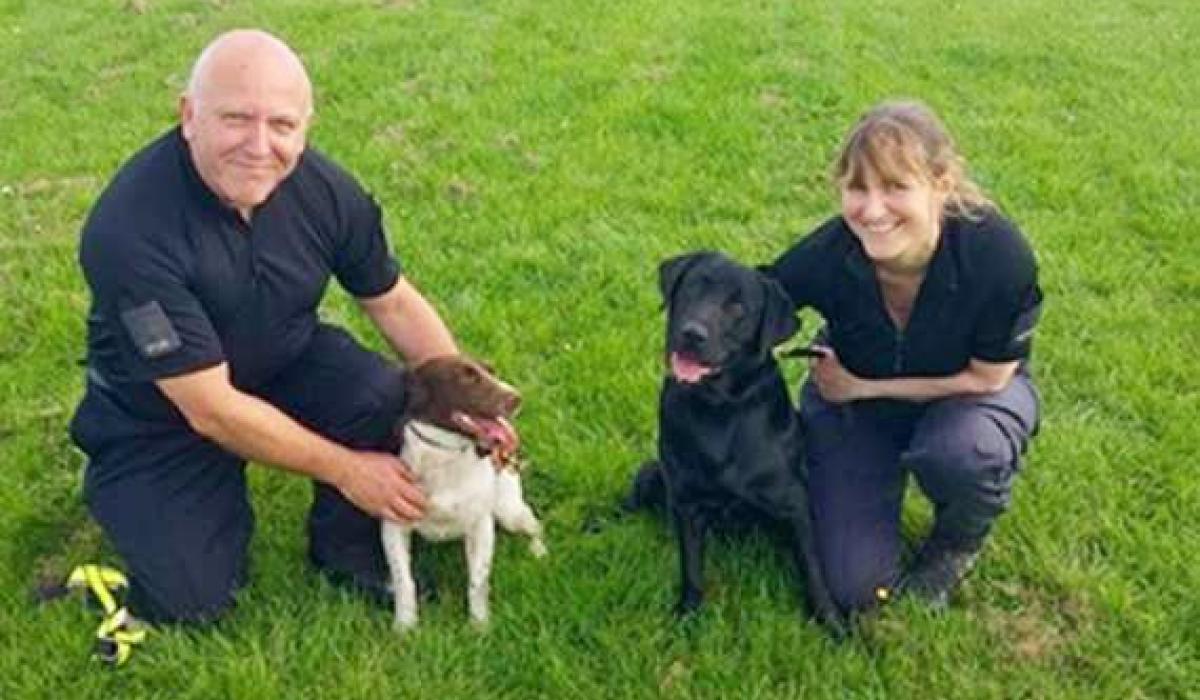 UK’s first digital detection sniffer dogs