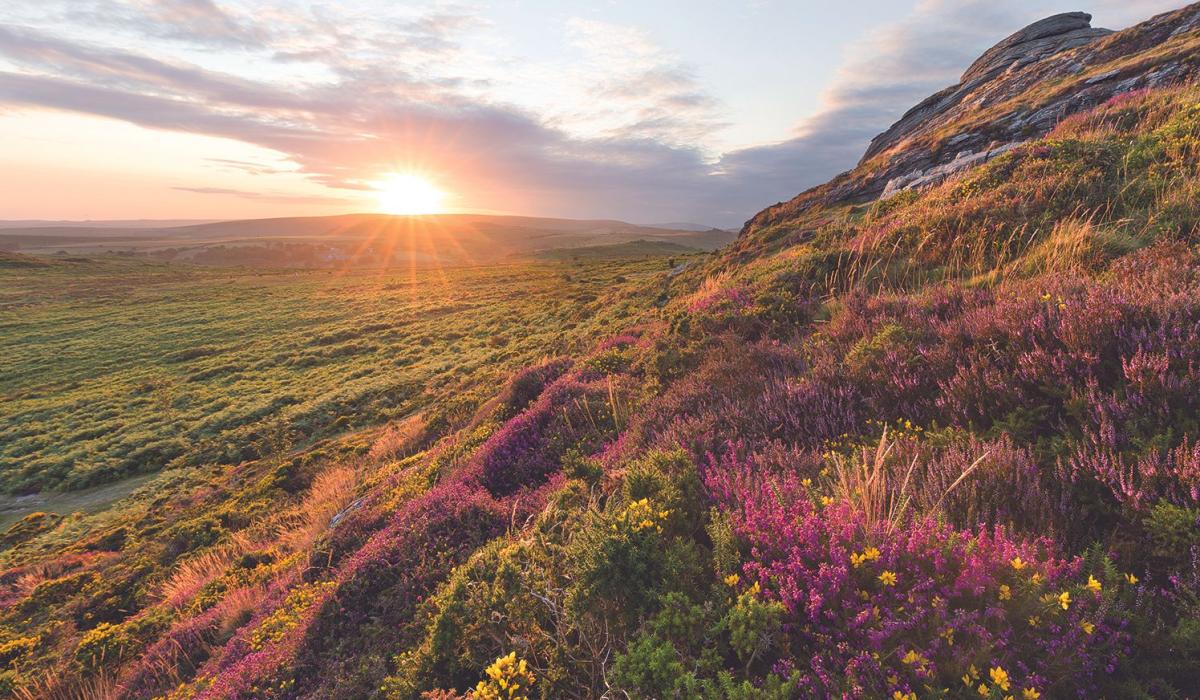 Residents Reject Council Merger