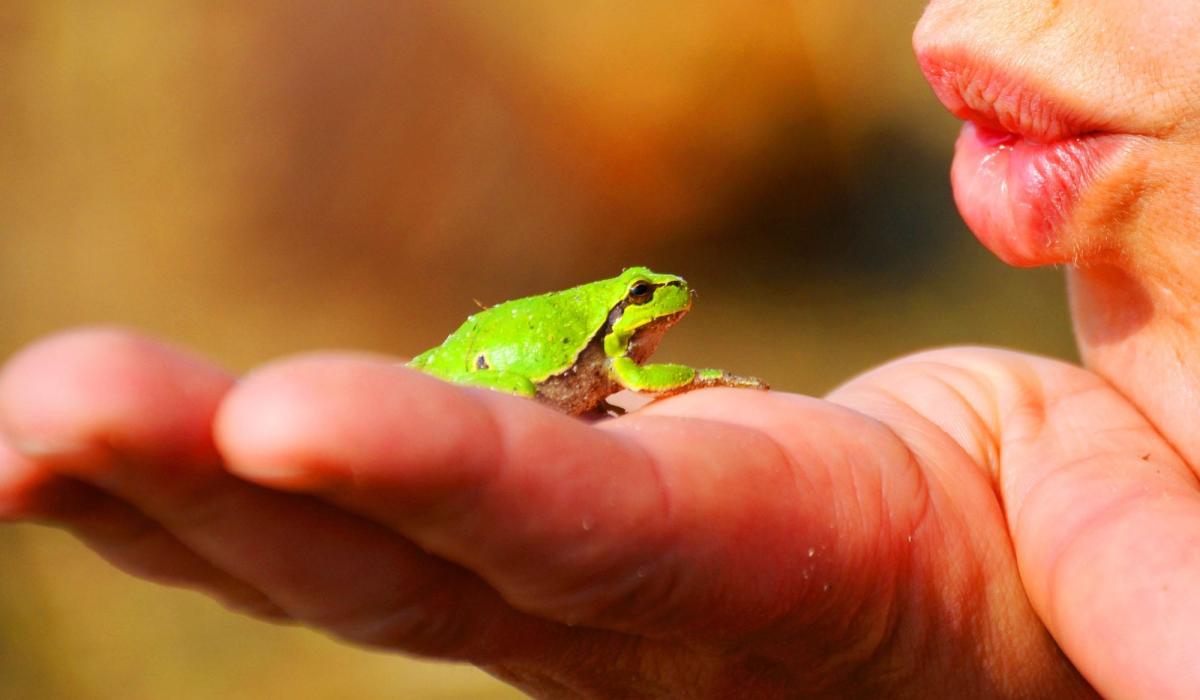 Green Issues: Power of Passions