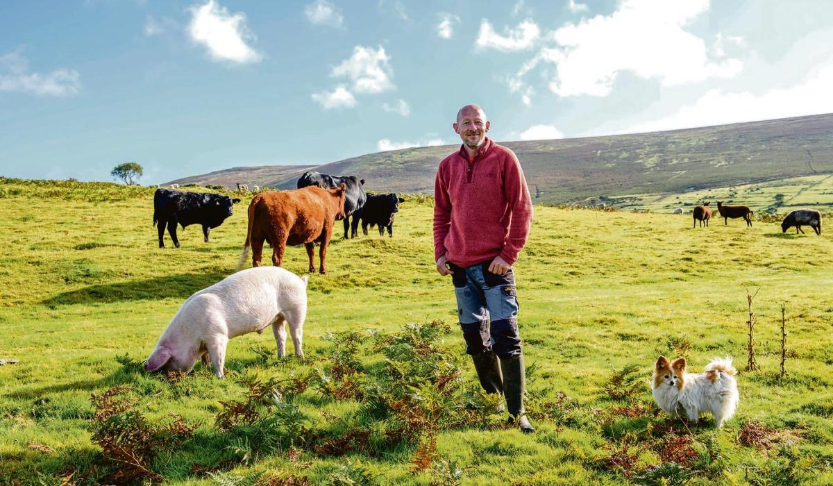 A very British farming revolution: Challacombe Farm
