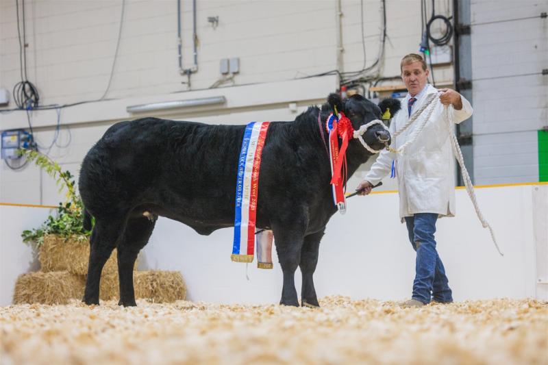 Agrifest returns: South West's biggest primestock show set for November