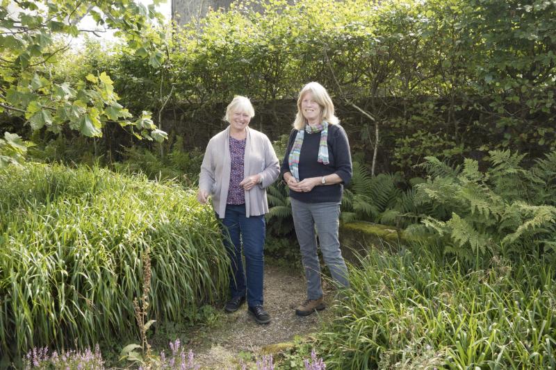 Gardening on the Moor with Anne Swithinbank: A wild Dartmoor garden