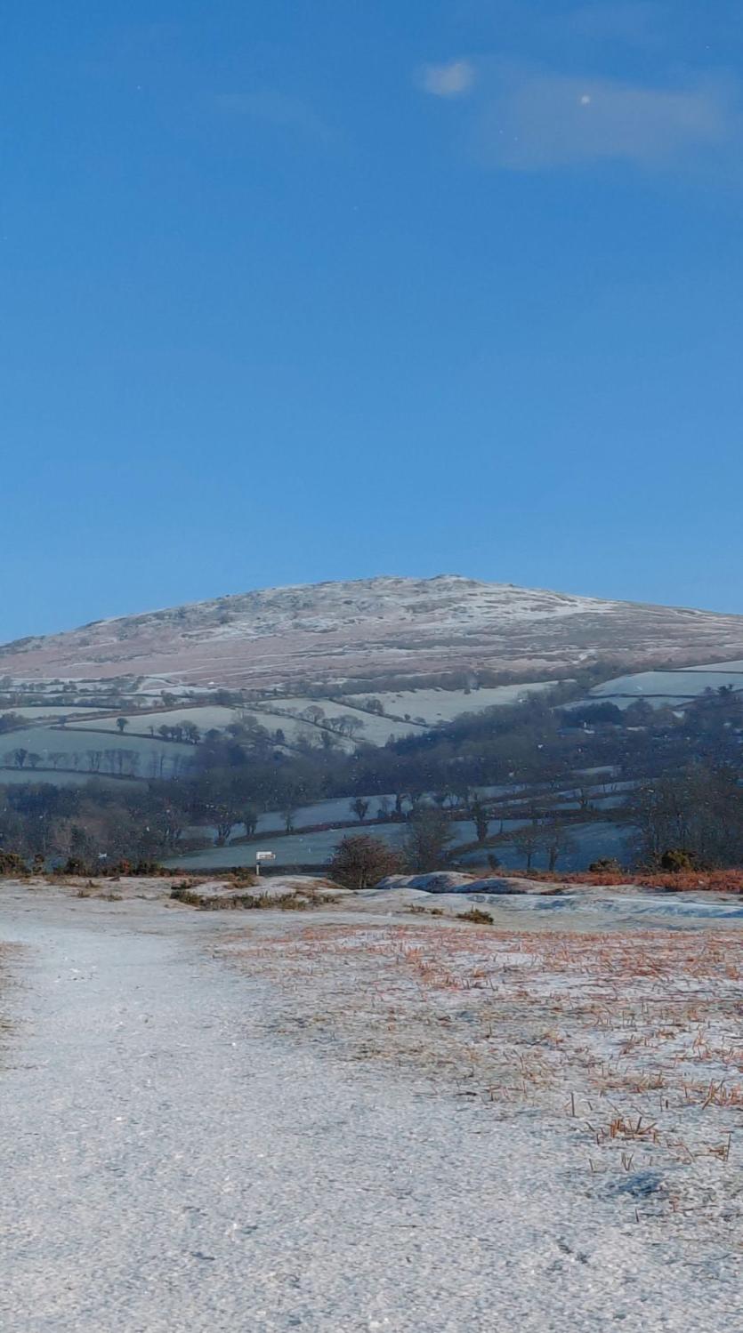 Pictures: Snowy scenes across Dartmoor as winter weather hits the Moor ...