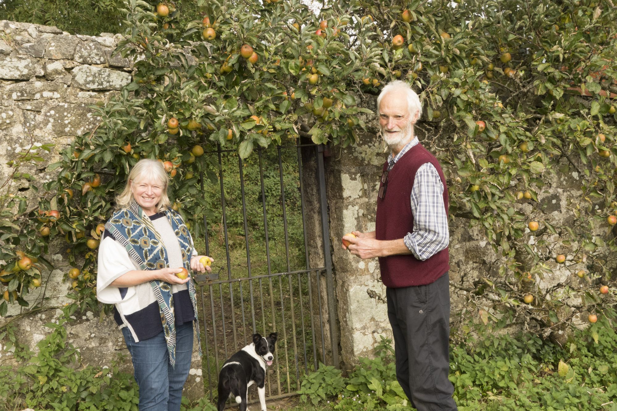 Gardening on the Moor with Anne Swithinbank – Apples and orchards