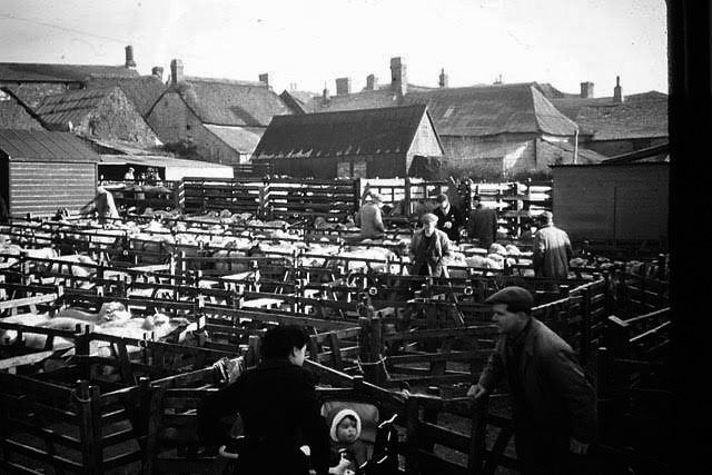 The history of Hatherleigh Market