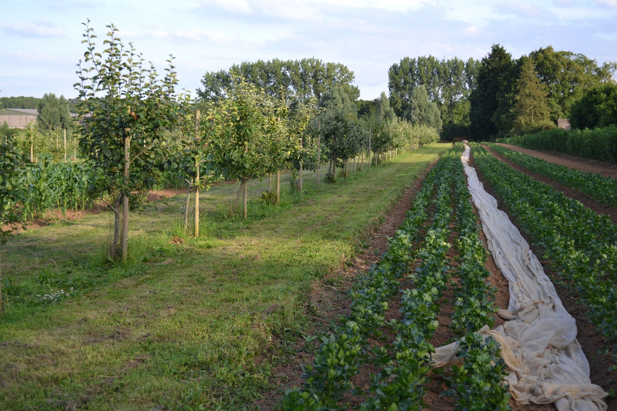 Learning the skills for regenerative farming