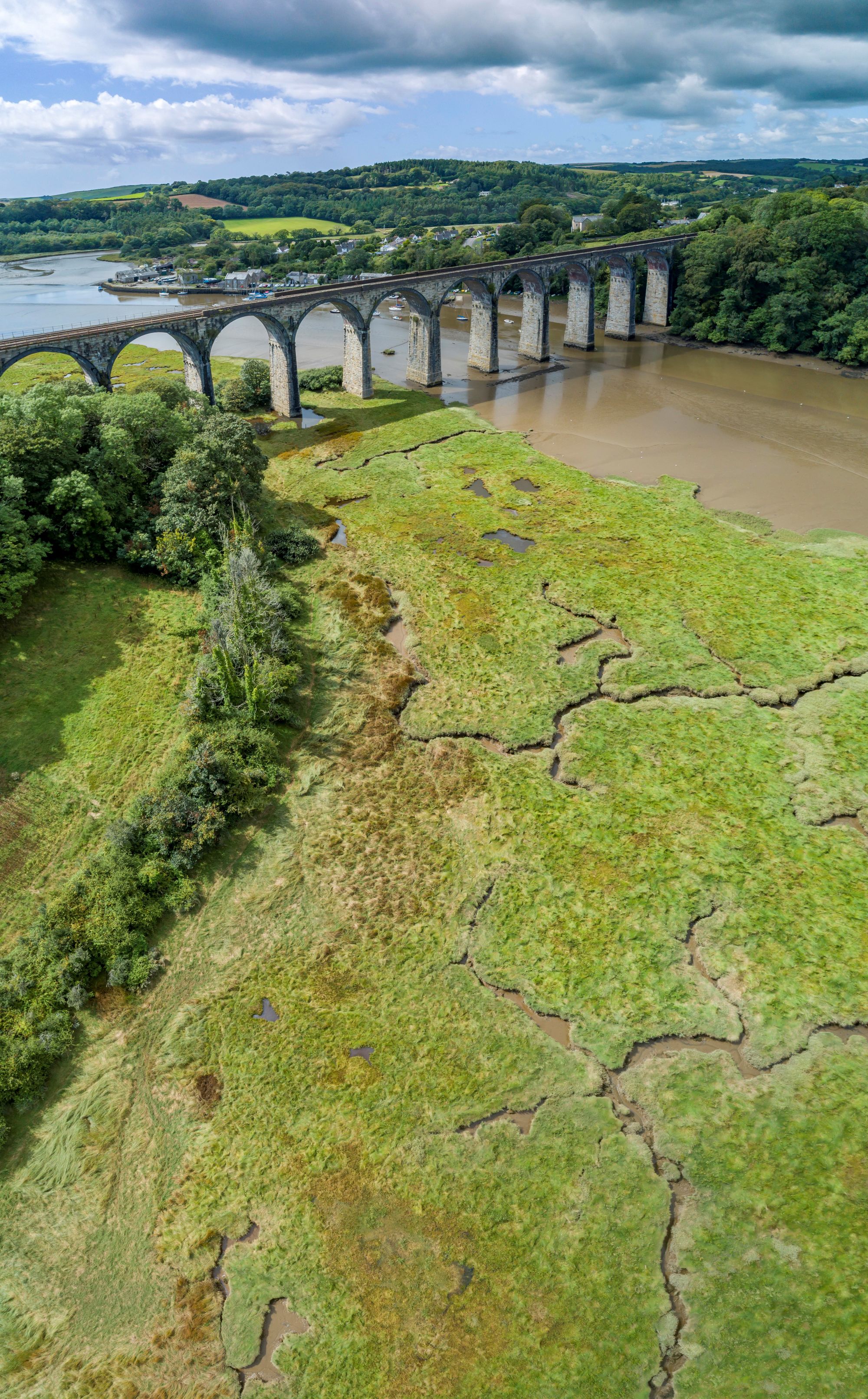 Opening up the Tamar for all